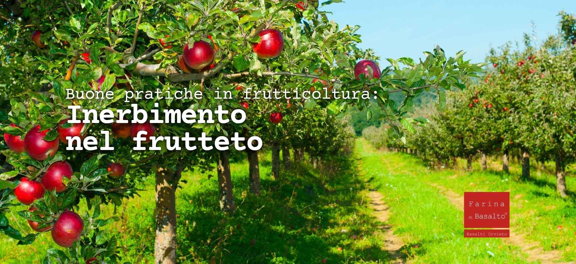 Inerbimento: una buona pratica in frutticoltura | Farina di Basalto